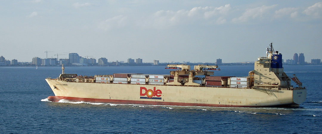 Engine fire disables Dole reefer ship near Delaware port - Professional ...