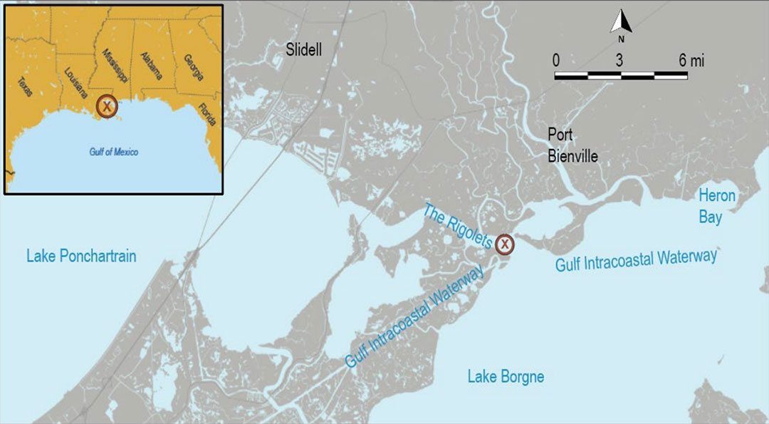 ‘I just hit the bridge’: NTSB cites poor communication in Louisiana ...