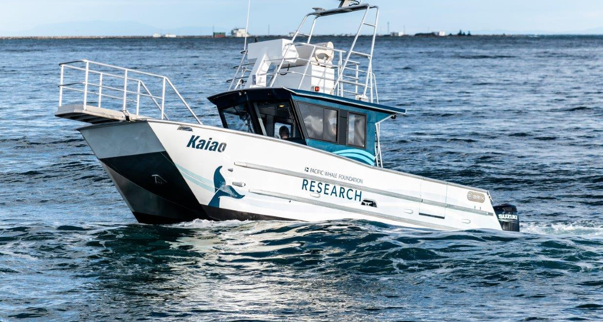 Brix delivers research boat to Pacific Whale Foundation – Professional ...