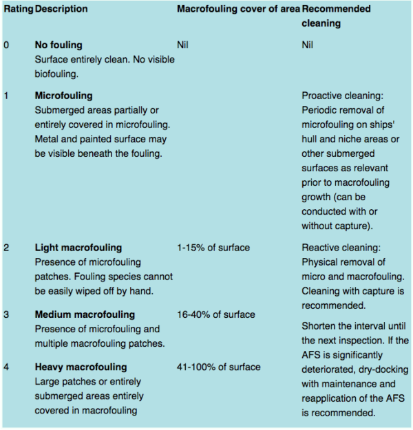 Understanding the IMO’s new guidance on biofouling – Professional Mariner